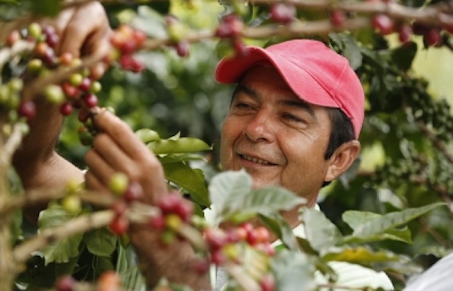 About Us | Peru Shop Express
